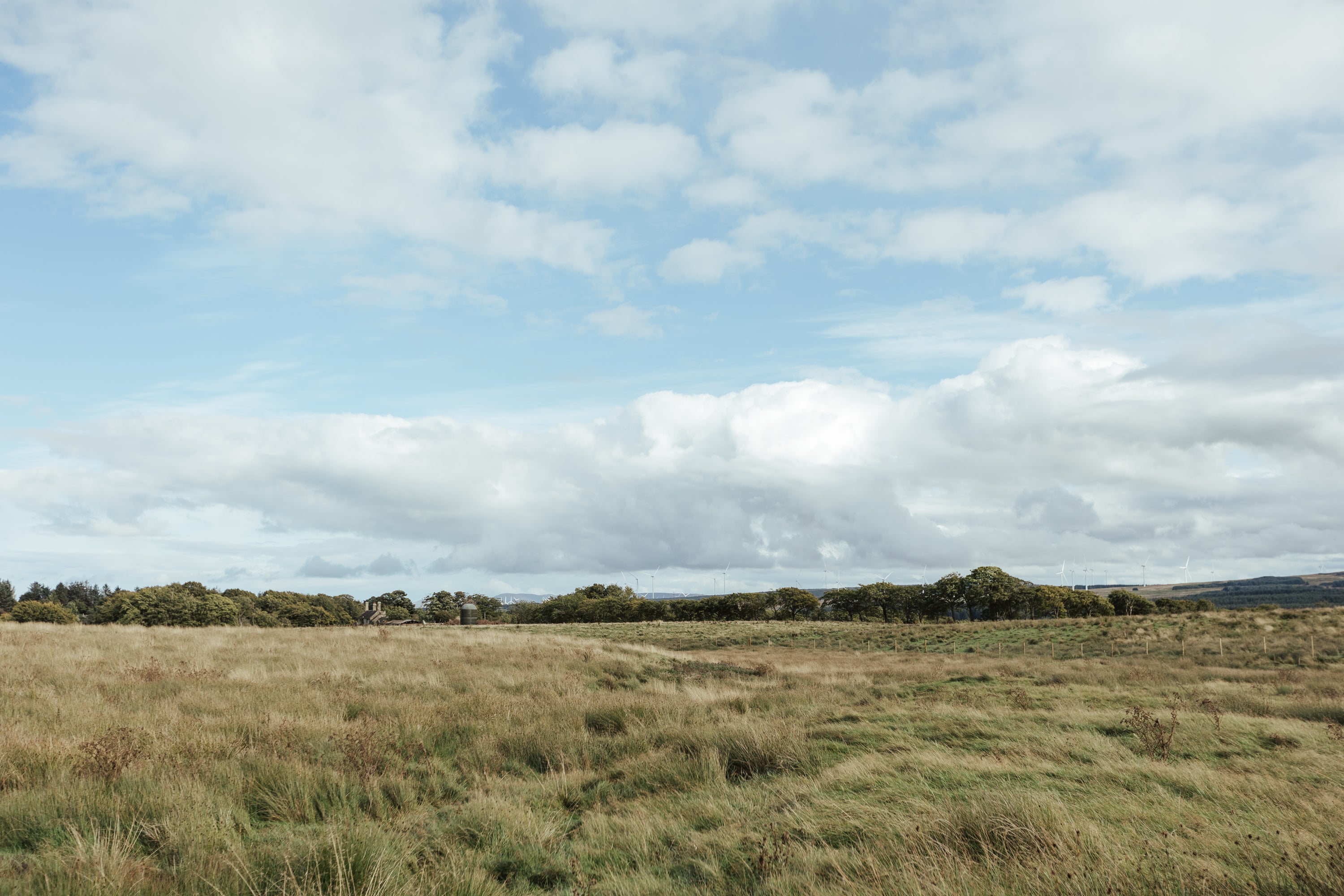 Leadloch – The Future Forest Company