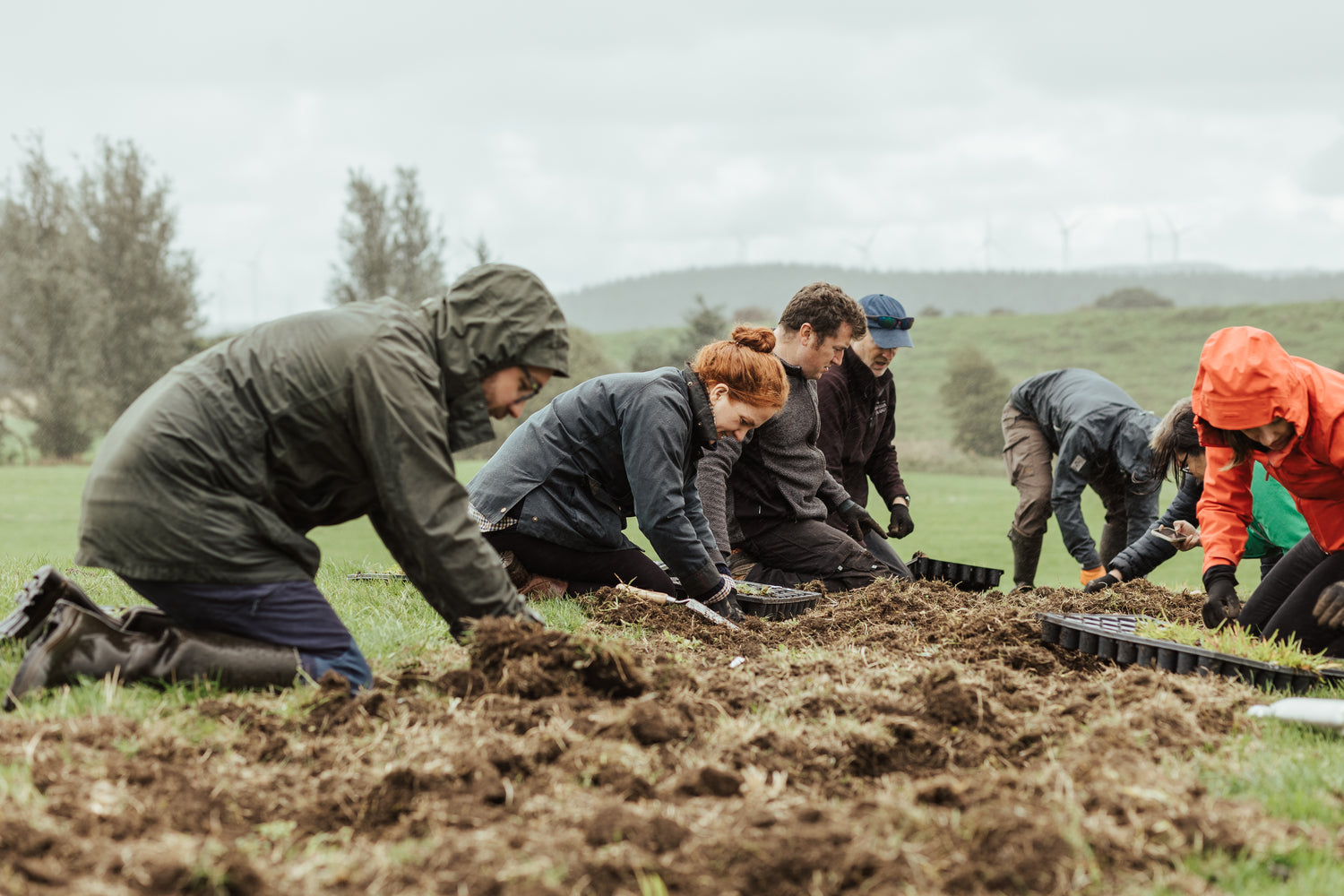 Leadloch – The Future Forest Company