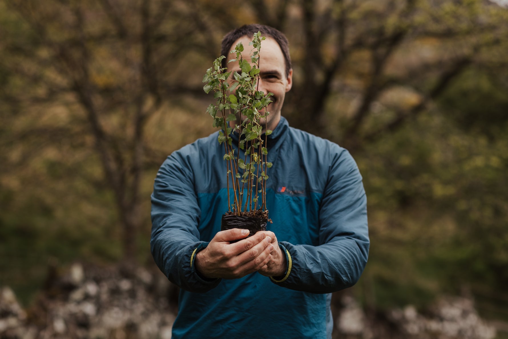 Our Story – The Future Forest Company