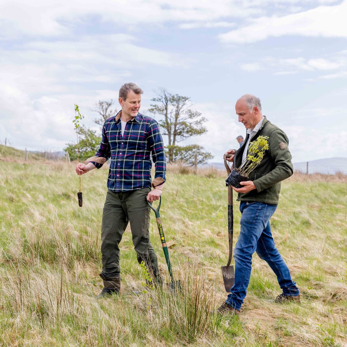 Work with us – The Future Forest Company